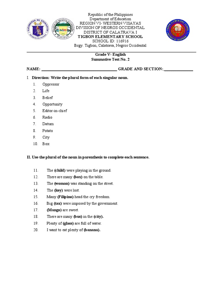 Grade V English Plural Nouns Test | PDF