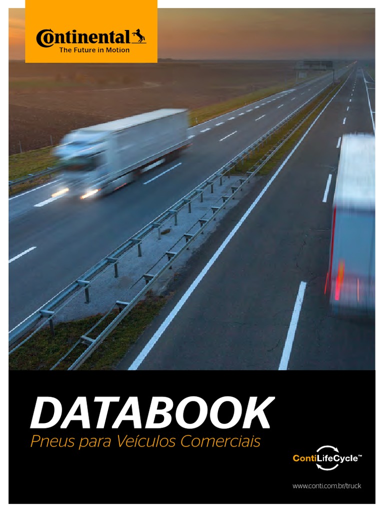 Databook CVT 2020 | PDF | Pneu | Transporte