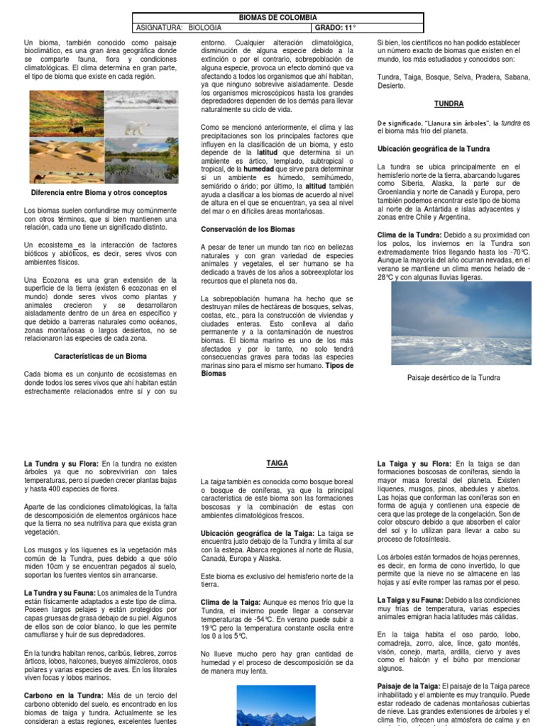 Guía Biomas 11 IV P | PDF | Selva | Desierto