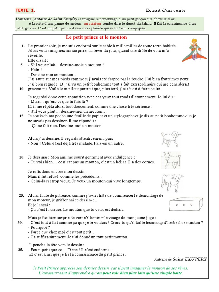 Texte Le Petit Prince de ST Exupery Extrait | PDF