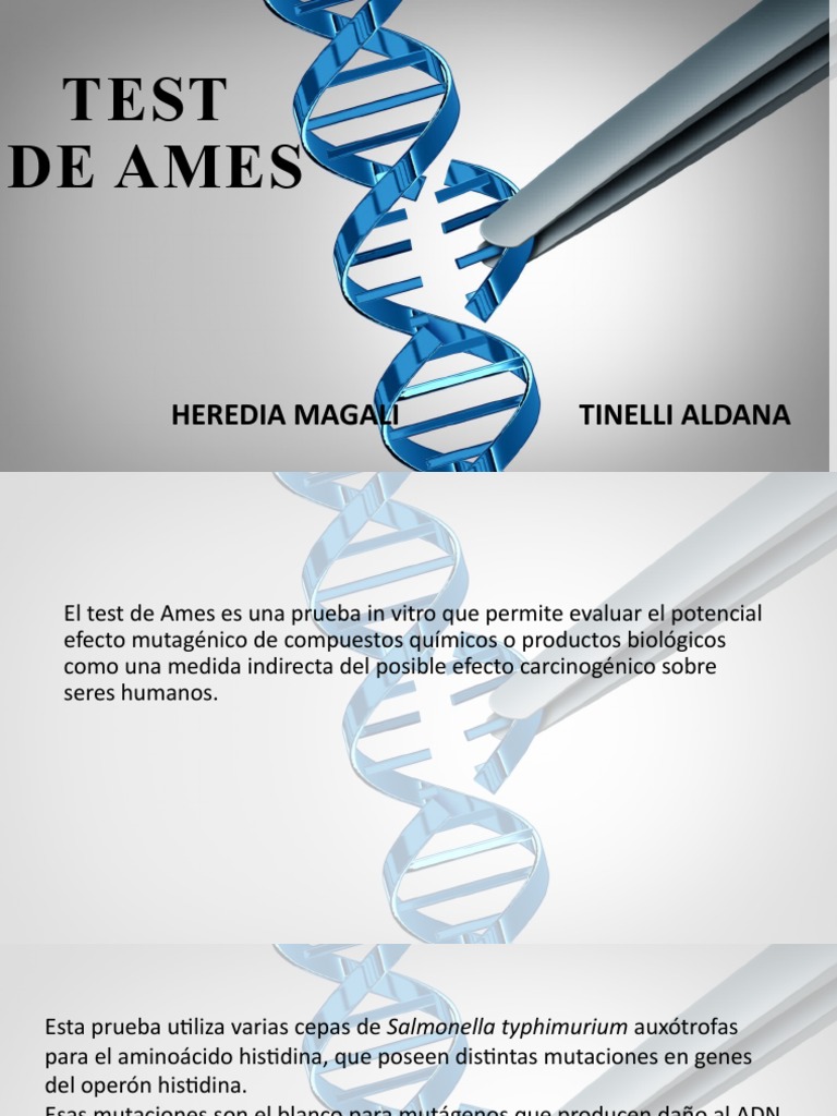 Test Ames | PDF | Biotecnología | Bioquímica