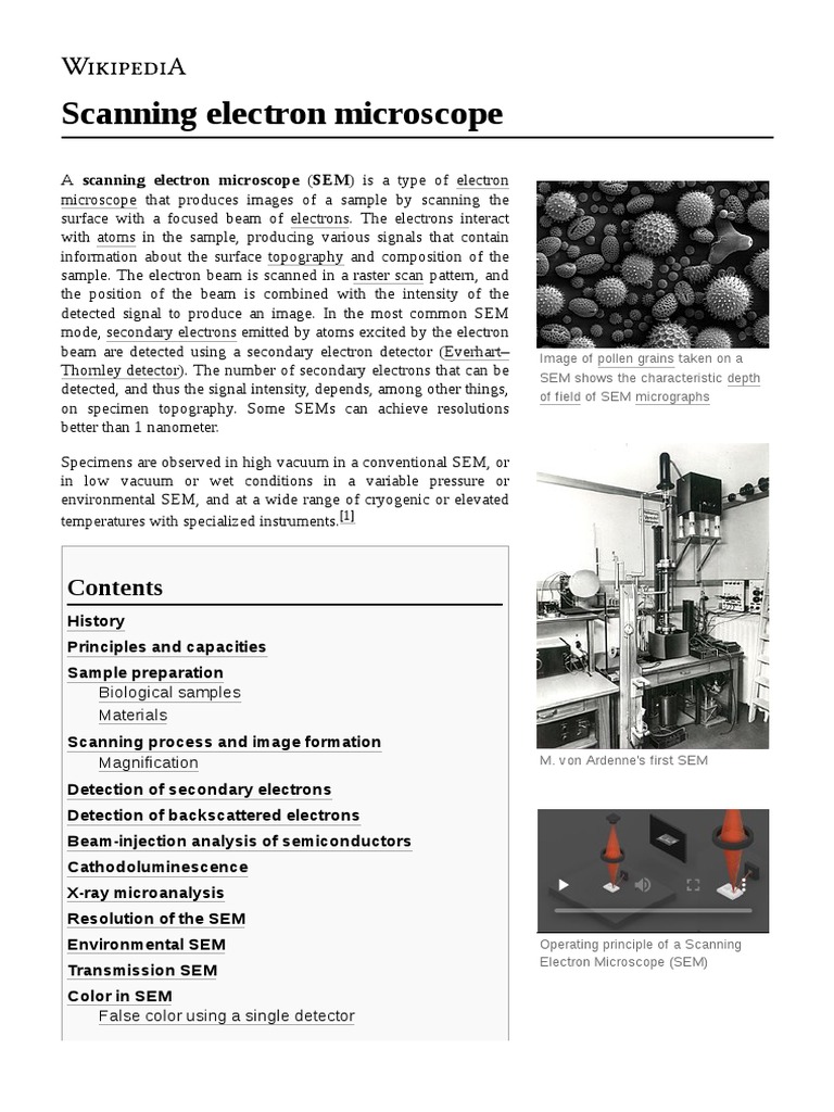 Scanning Electron Microscope | PDF