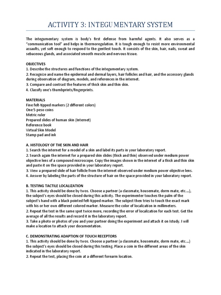 ANSWER Integumentary System | PDF