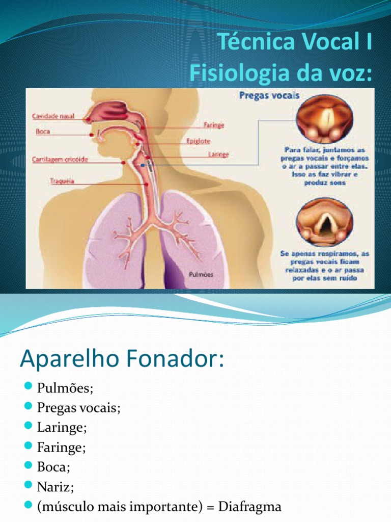 Aula Técnica Vocal I - 2018 - Slides | PDF
