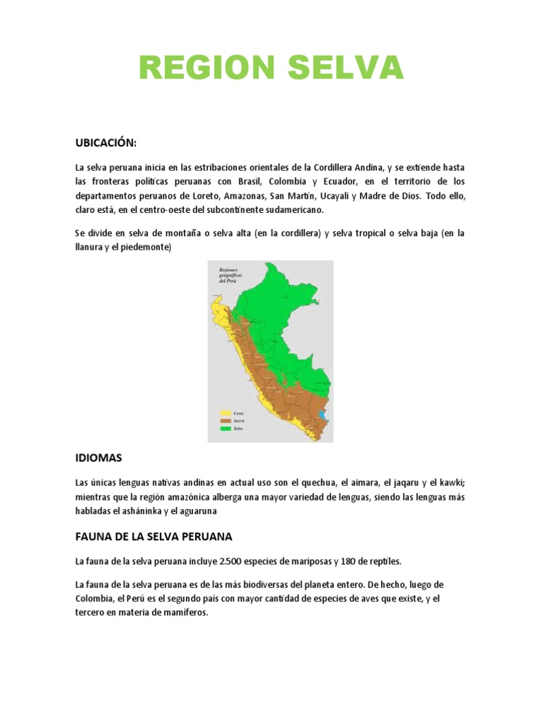 Region Selva | PDF | Selva amazónica | Perú
