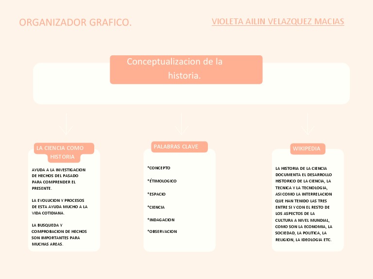 Organizador Grafico | PDF