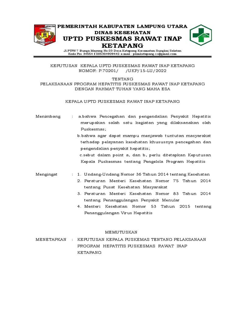 SK PEMERIKSAAN HEPATITIS B PADA IBU HAMIL Fix | PDF