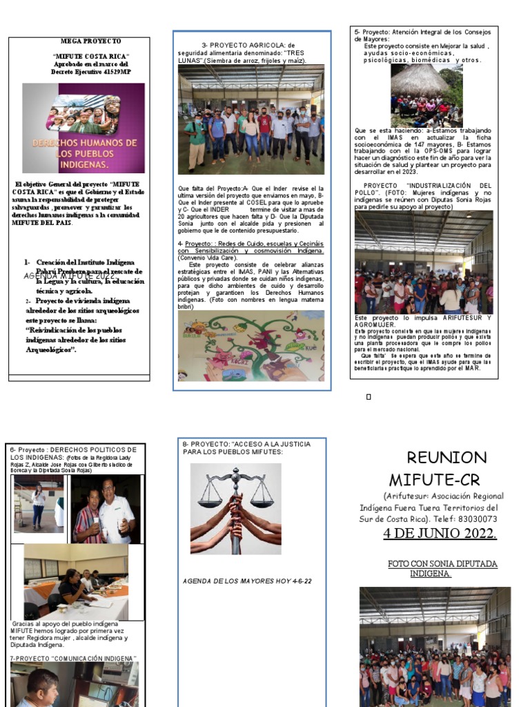 Brochure Reunion 4 Junio 2022 Mifute Costa Rica Consejo y Junta | PDF ...