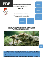 Lobos Continuemos Estudiando | PDF | Zoología