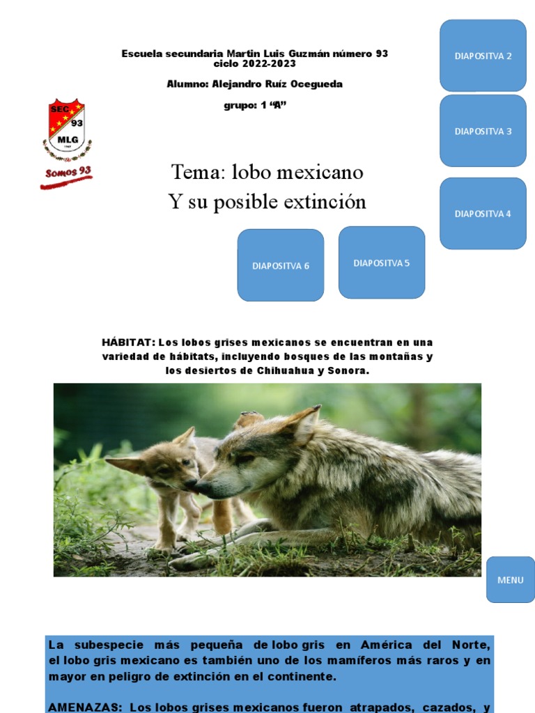 Lobo Mexicano: Hábitat y Amenazas | PDF | Organismos