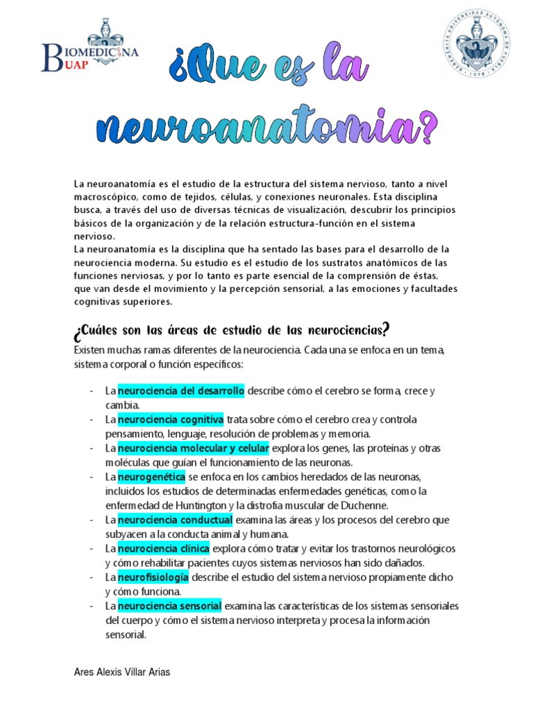 Introducción a la Neuroanatomía y Ramas | PDF | Neurociencia | Cerebro