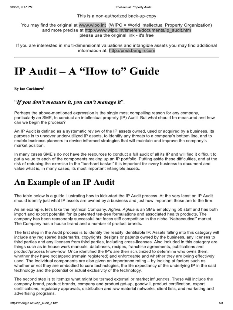 Ip Audit Sample Report | PDF