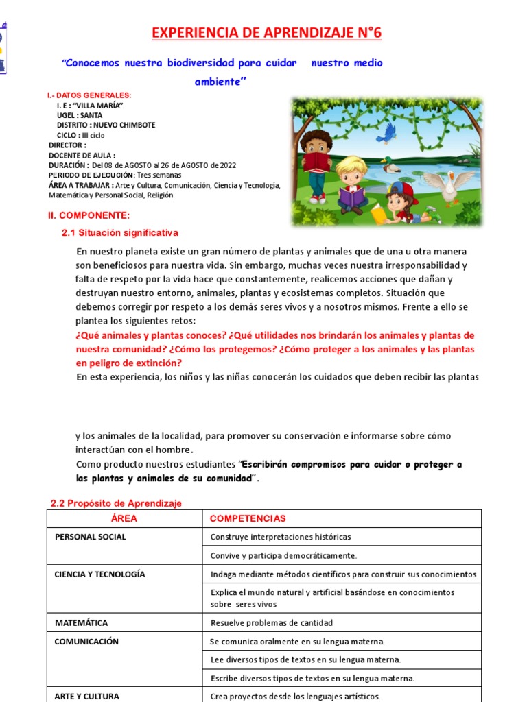 Experiencia De Aprendizaje N 06 1er Grado Pdf