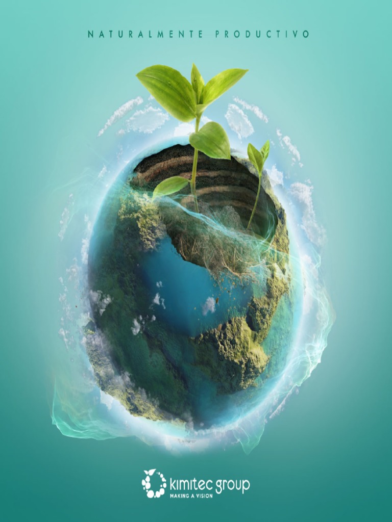 Catalogo Kimitec | PDF