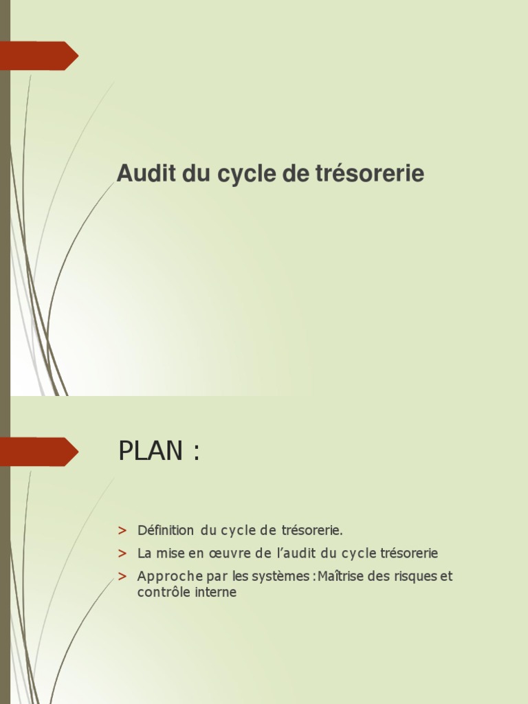 Audit du Cycle de Trésorerie | PDF | Contrôle interne | Trésor