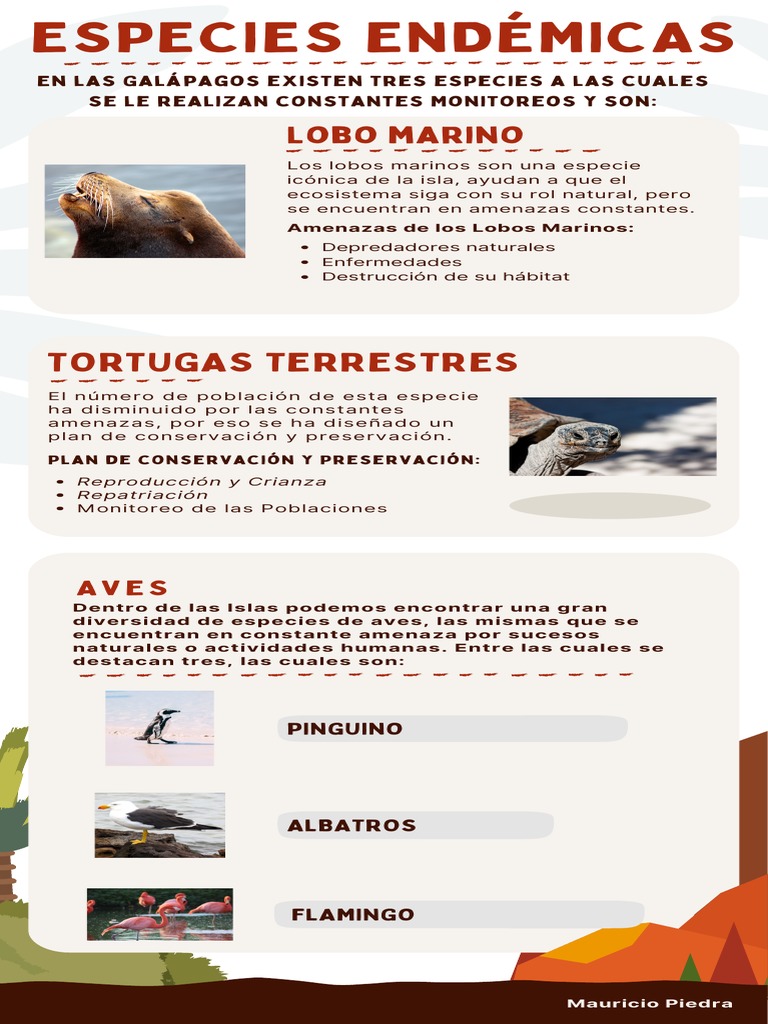 Descubre Las Especies Endémicas De Saltillo – JQMCLV
