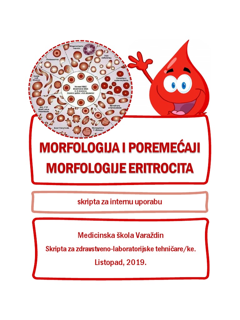 Eritrociti - Morfologija I Promjene Morfologije - Skripta 1 | PDF