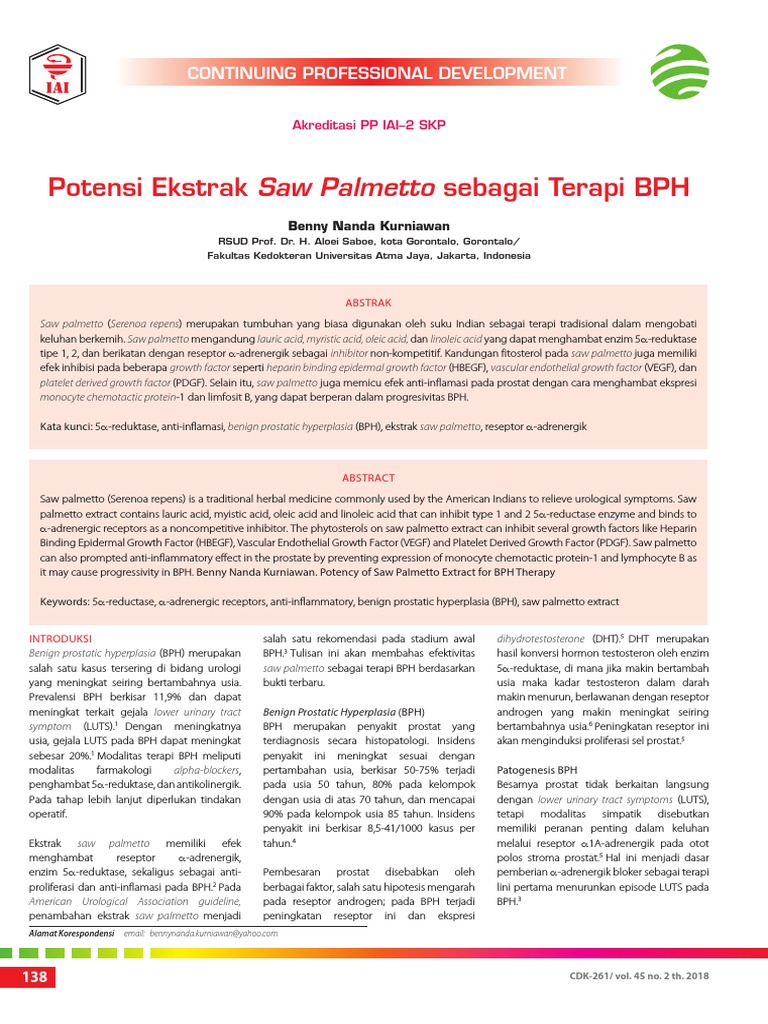 Terapi Bph - Perumperindo.co.id