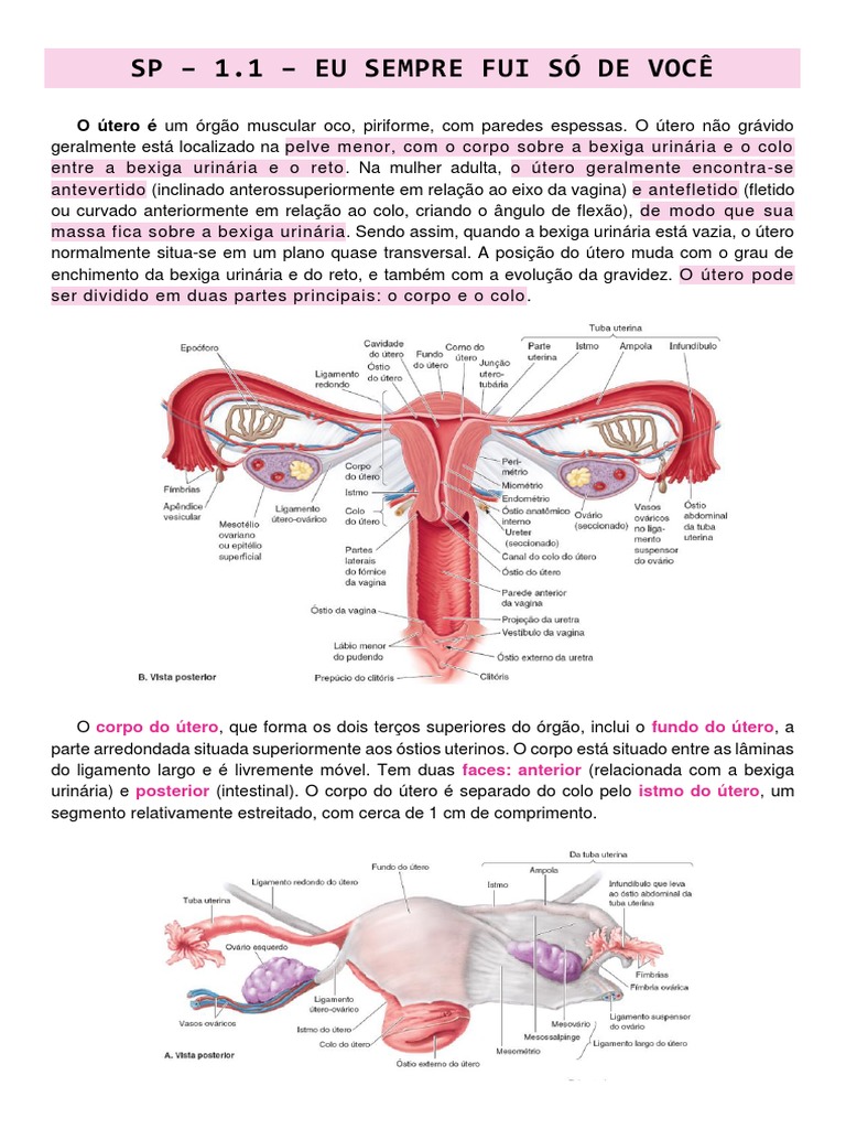 SP 1.1 - Resumo | PDF | Mitose | Câncer