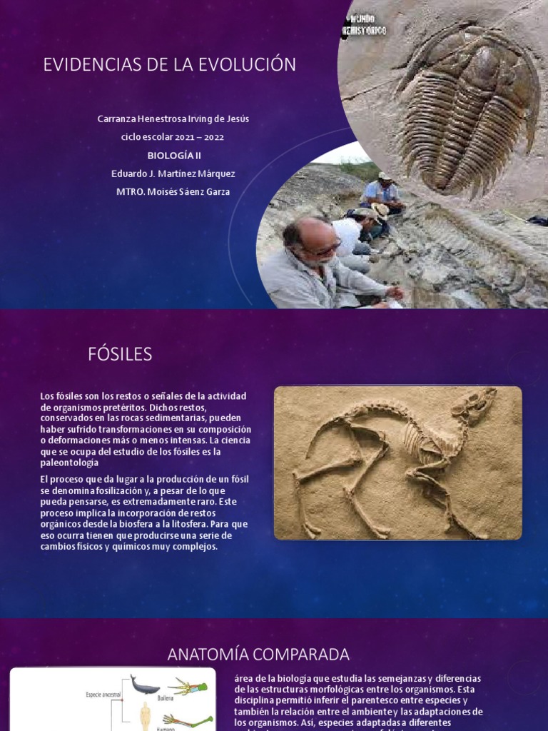 Evidencias de La Evolución | PDF | Biología | Fósil