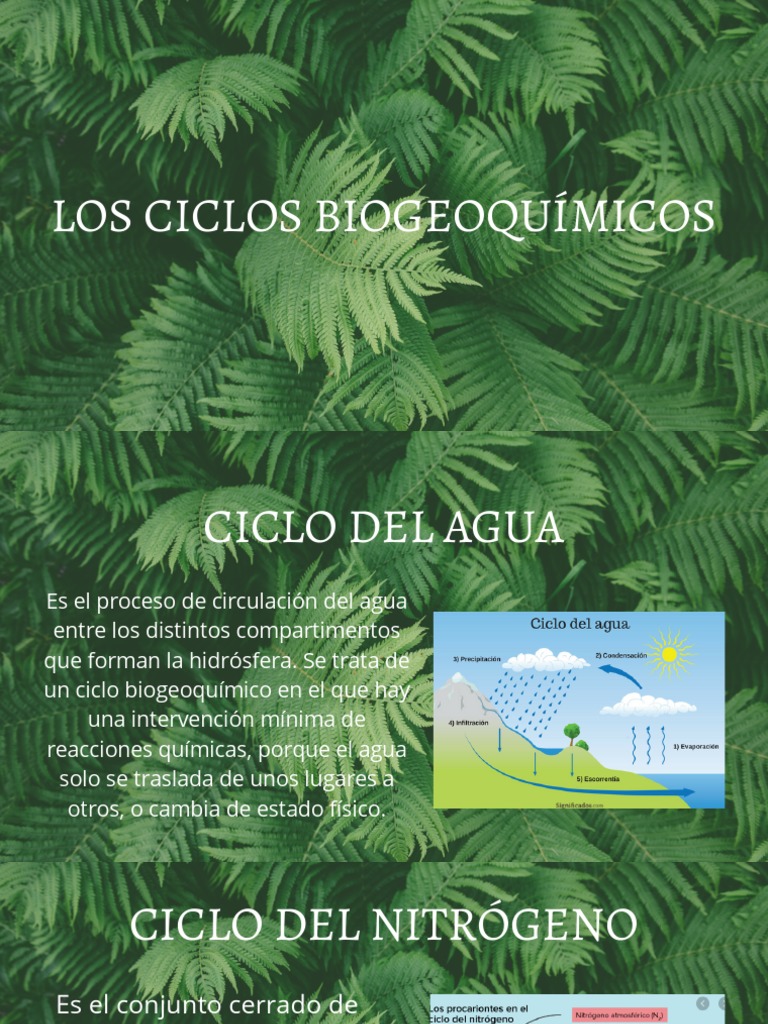Los Ciclos Biogeoquimicos | PDF