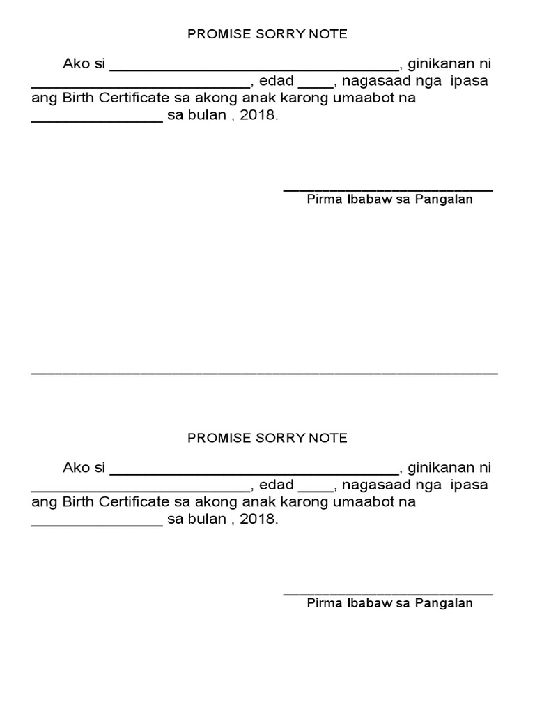 Promise Sorry Note | PDF