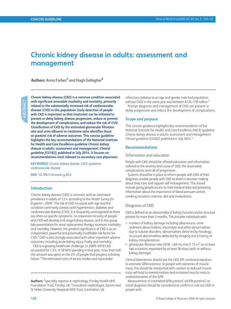 Chronic Kidney Disease in Adults - Assessment and Management | PDF ...