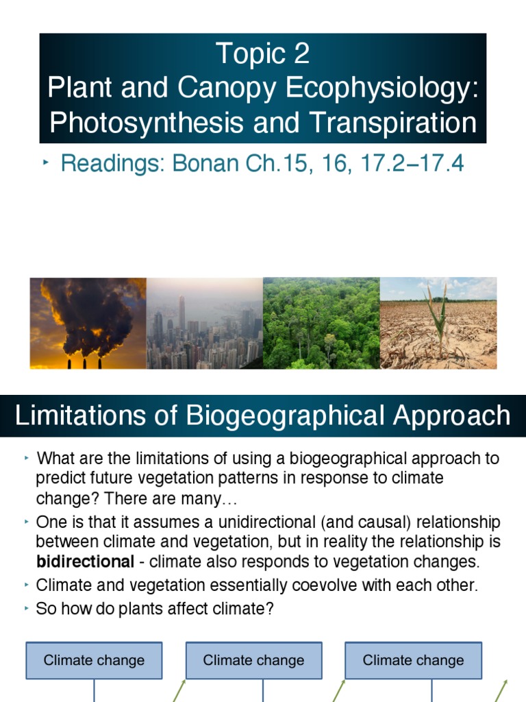 02 Plant Ecophysiology | PDF | Photosynthesis | Metabolism