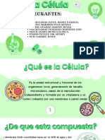 PROTOCOLO EVALUACIÓN FUERZA MUSCULAR - Escala Medical Research Council ...