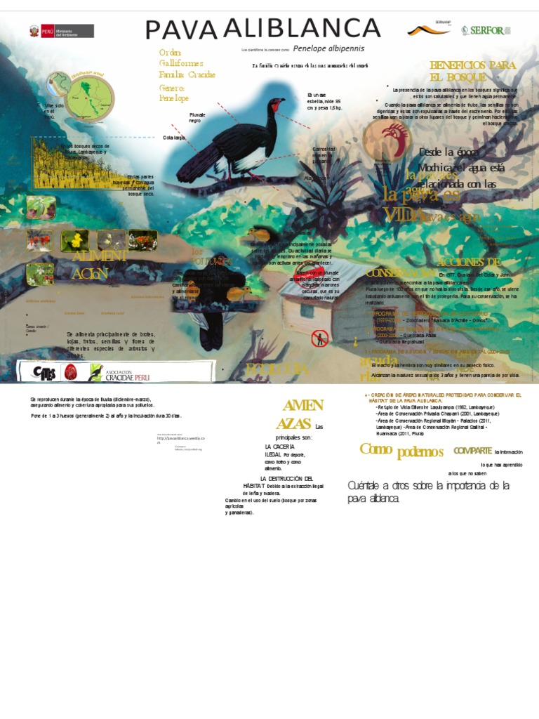 Infografia PAVA Aliblanca Jun 2016 | PDF | Organismos | Aves