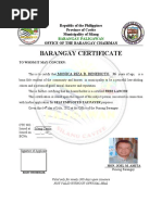 Badac Certification of Drug Watchlist Personalities | PDF