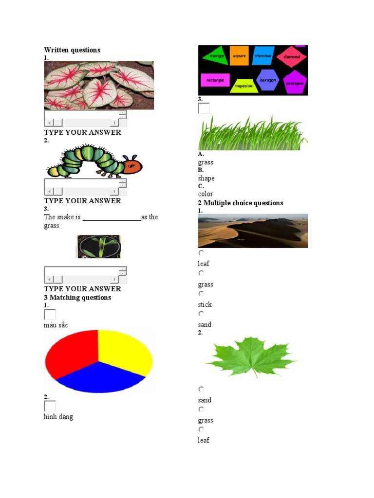 Everybody Up 4 Unit 3,4 | PDF