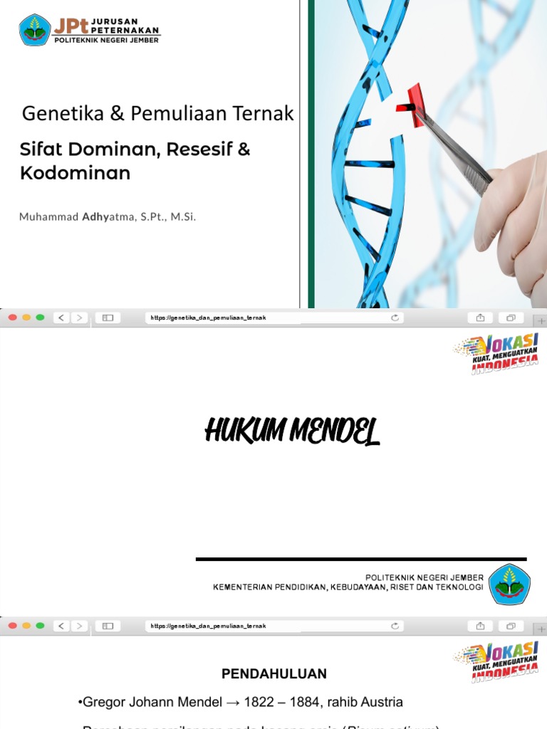 Sifat Dominan, Resesif, dan Kodominan | PDF