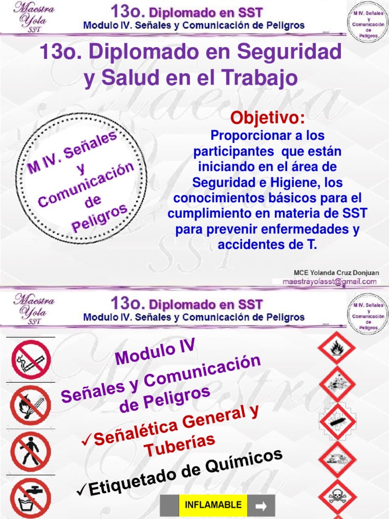 13o DSST M IV ETIQUETADO | PDF | Ciencia y matemáticas