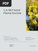 Sacha Culantro | PDF | Hierbas y especias | Alimentos