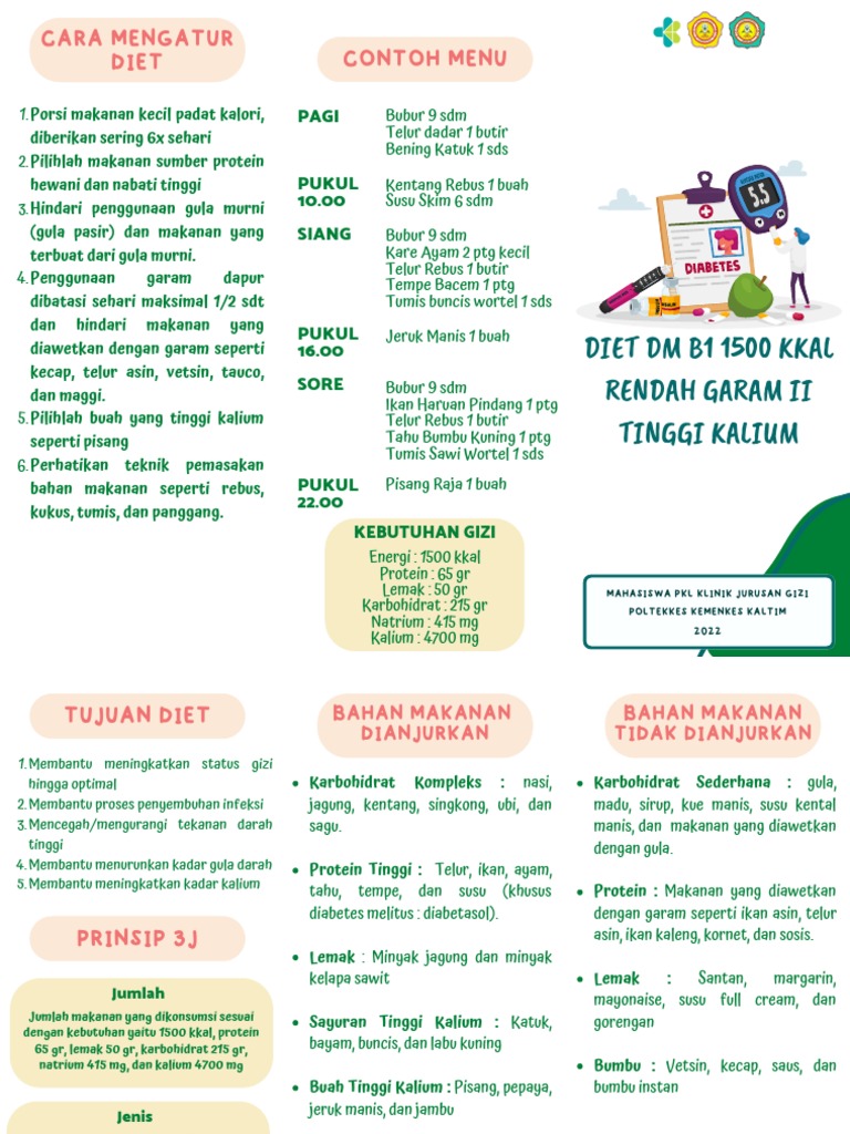 Leaflet DM B1 RG Ii Tinggi Kalium Yaya | PDF
