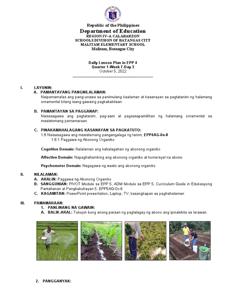 DLP EPP 4 - Q1 - Week 6 - Day 5 | PDF