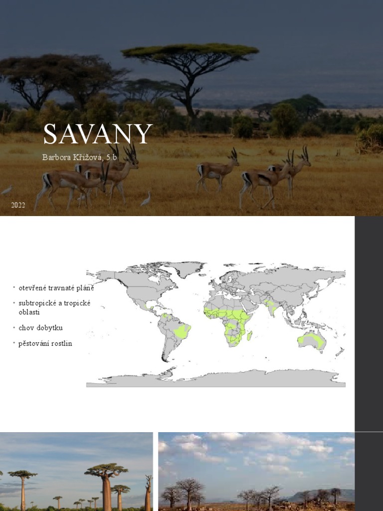 Savany Zeměpis | PDF