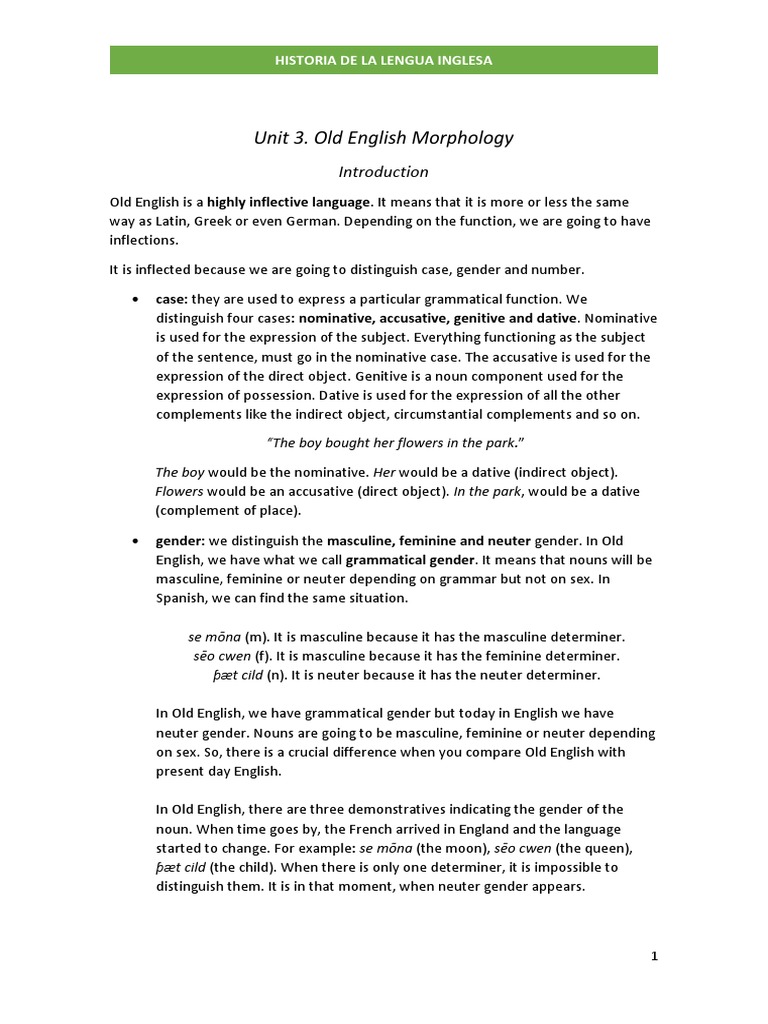 Old English Morphology. | PDF | Grammatical Gender | Grammatical Number