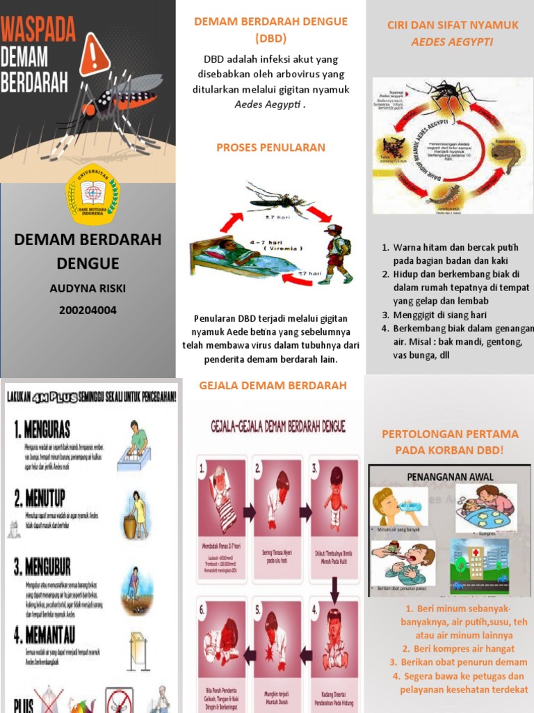 Leaflet DBD | PDF