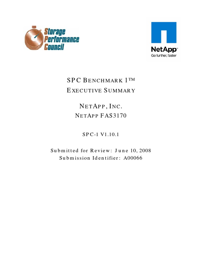 A00066 NetApp FAS3170 Executive-Summary | PDF | Computer Hardware ...