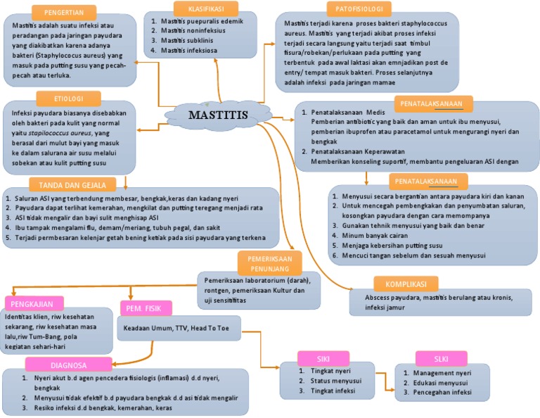 Mind Map Mastitis | PDF