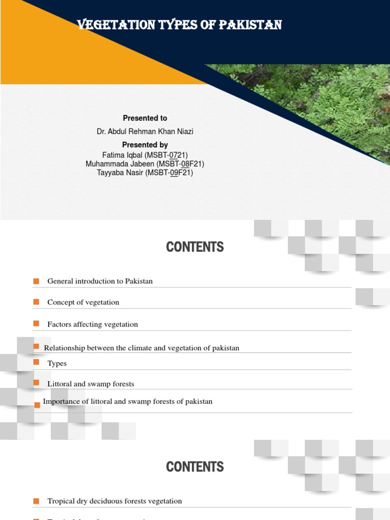 Vegetation Types of Pakistan | PDF