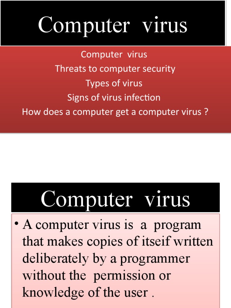 Computer Virus PRATHMESH AND RAGHAV | PDF