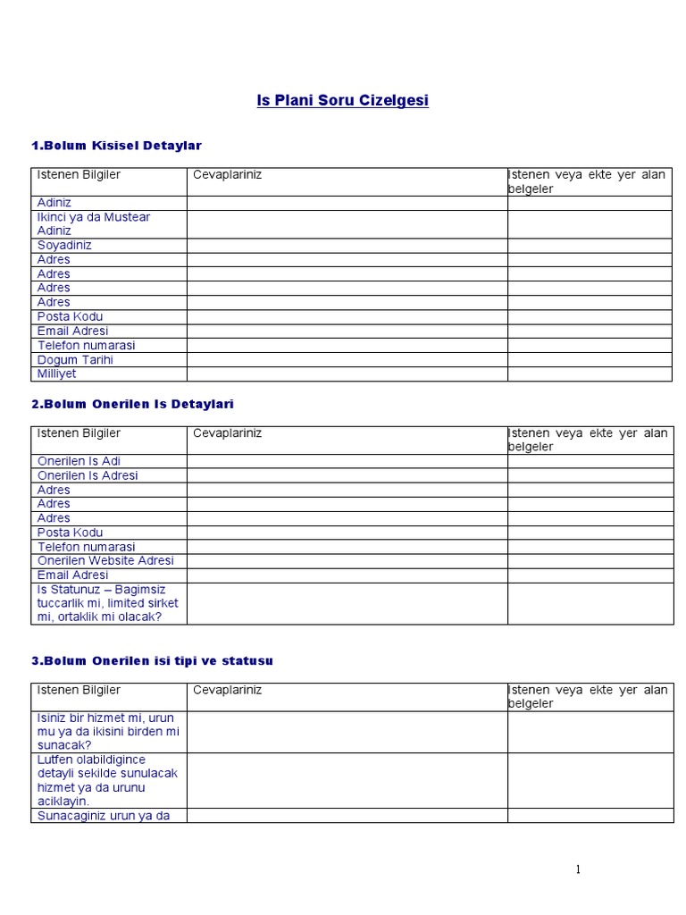 Business Plan Questionnaire - Doc Turkish Version | PDF