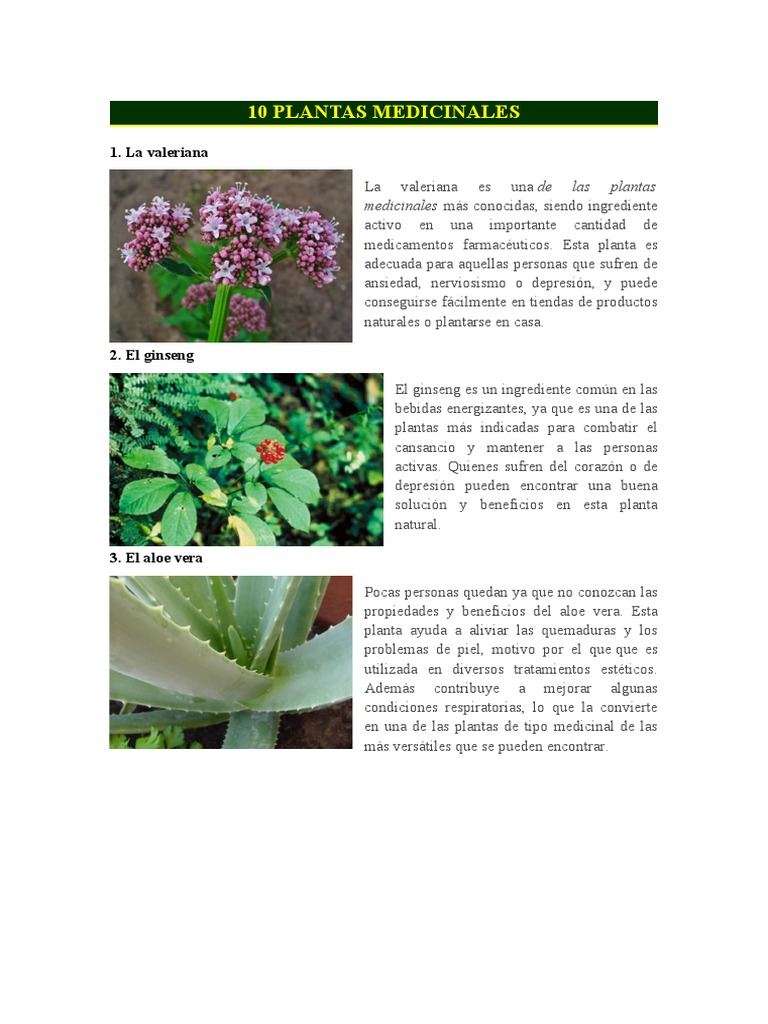10 Plantas Medicinales 2 | PDF | Cannabis (Droga) | Plantas medicinales