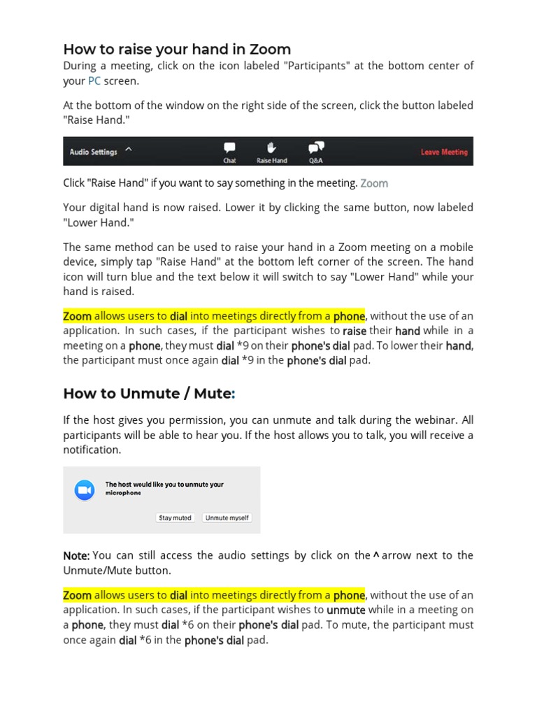 How To Raise Hand and Mute Unmute in Zoom | PDF