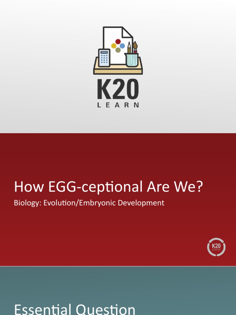 Lesson Slides How EGG Ceptional Are We Biology | PDF | Egg | Embryo