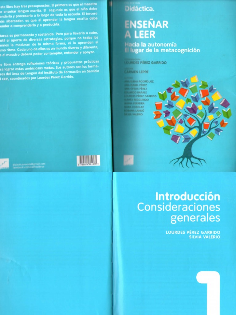 Enseñar A Leer Coord L Pérez Garrido Ed Camus Pdf