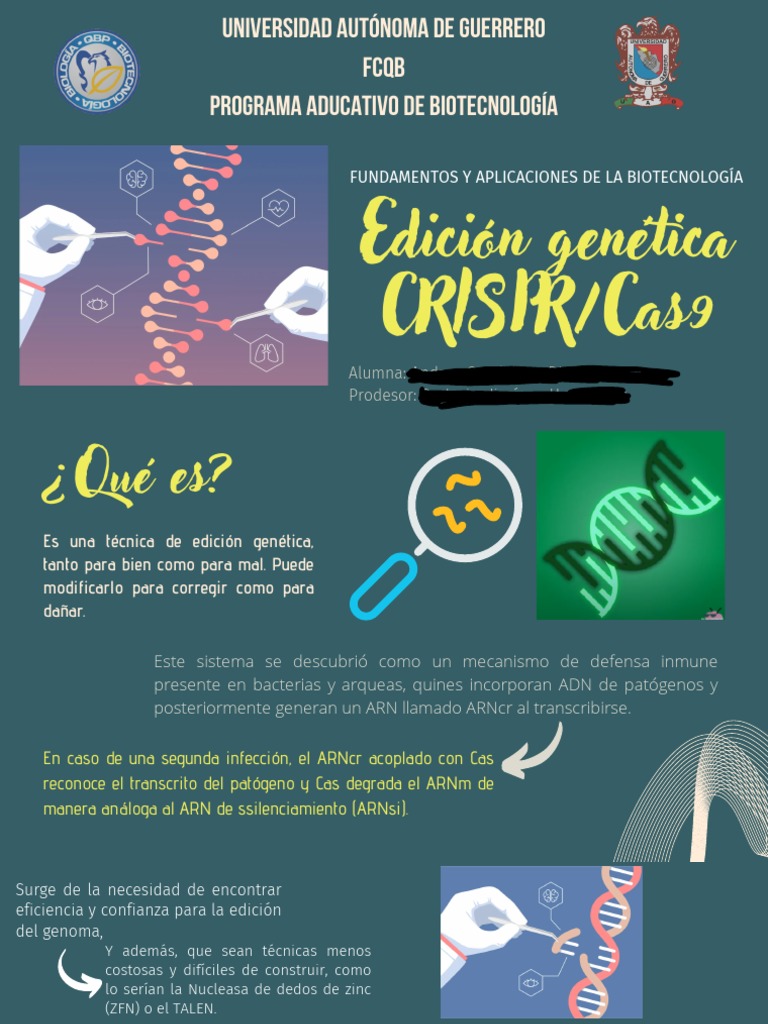CRISPR: Fundamentos y Aplicaciones | PDF | Crispr | Gene